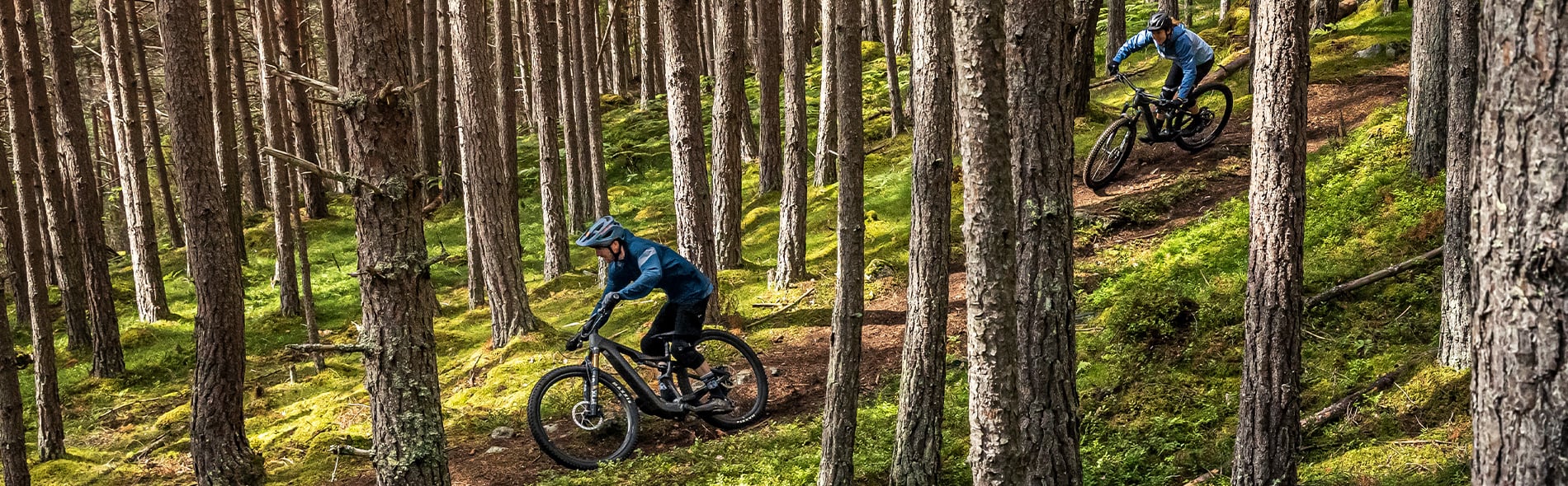20% Off All FOCUS Bikes