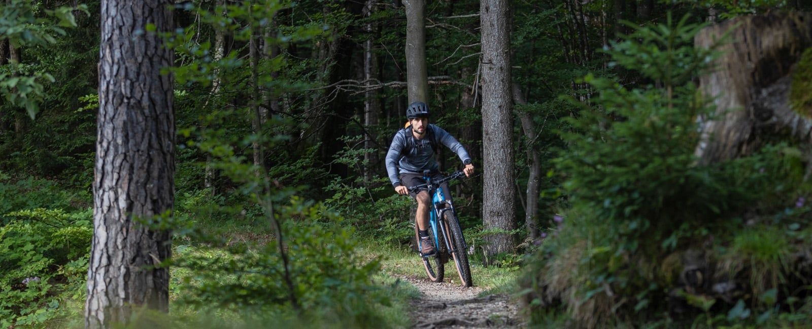 Cube Reaction Electric Hardtail Mountain Bikes from The Electric Bike Shop